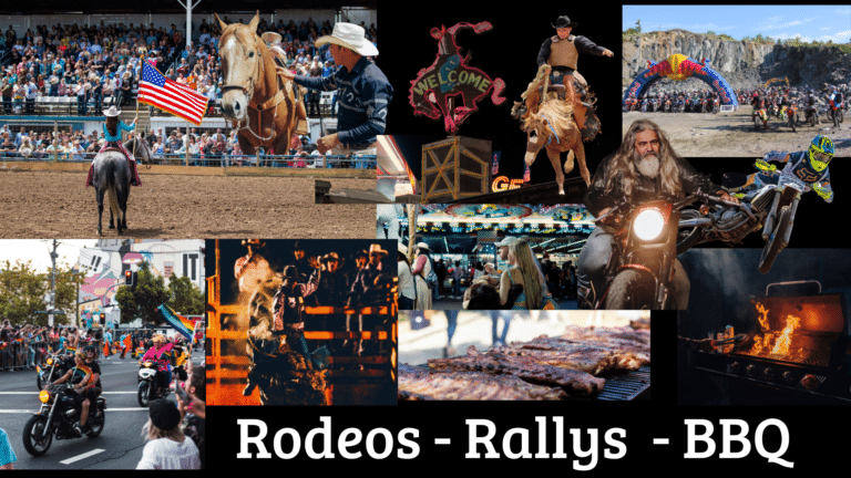 Fairs & Festival Entertainment - TSE Entertainment